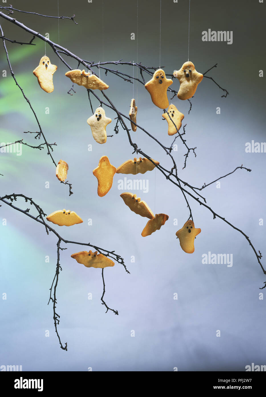 Ghost and bat shape biscuits hanging on threads, twigs in background ...