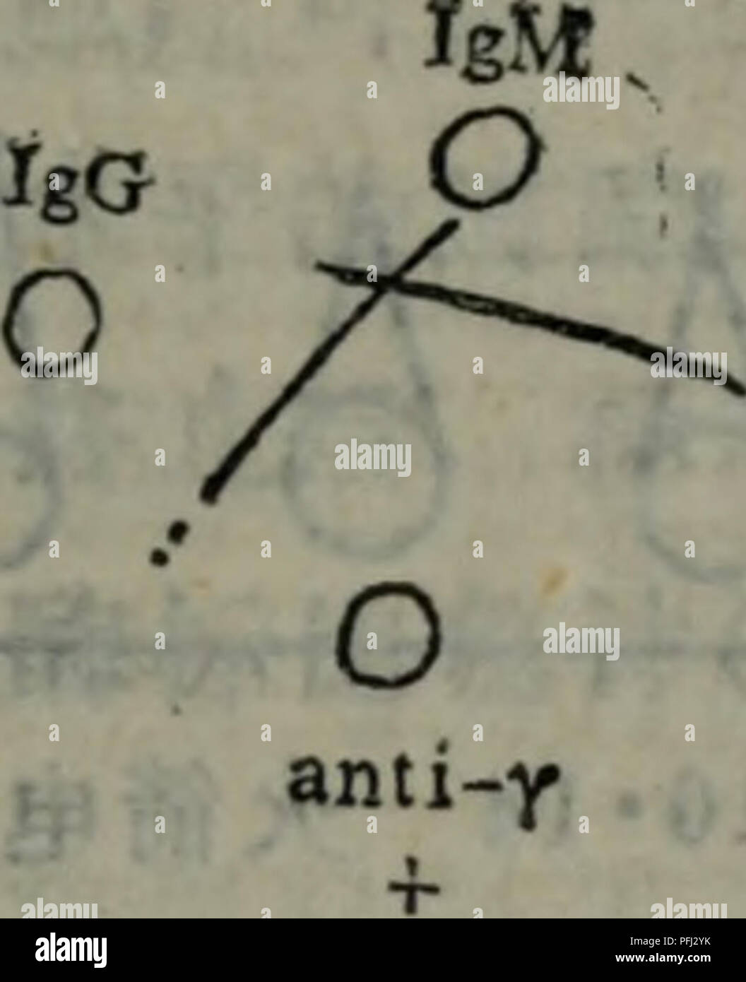 This work on botany focuses on the structure and functions of various ...