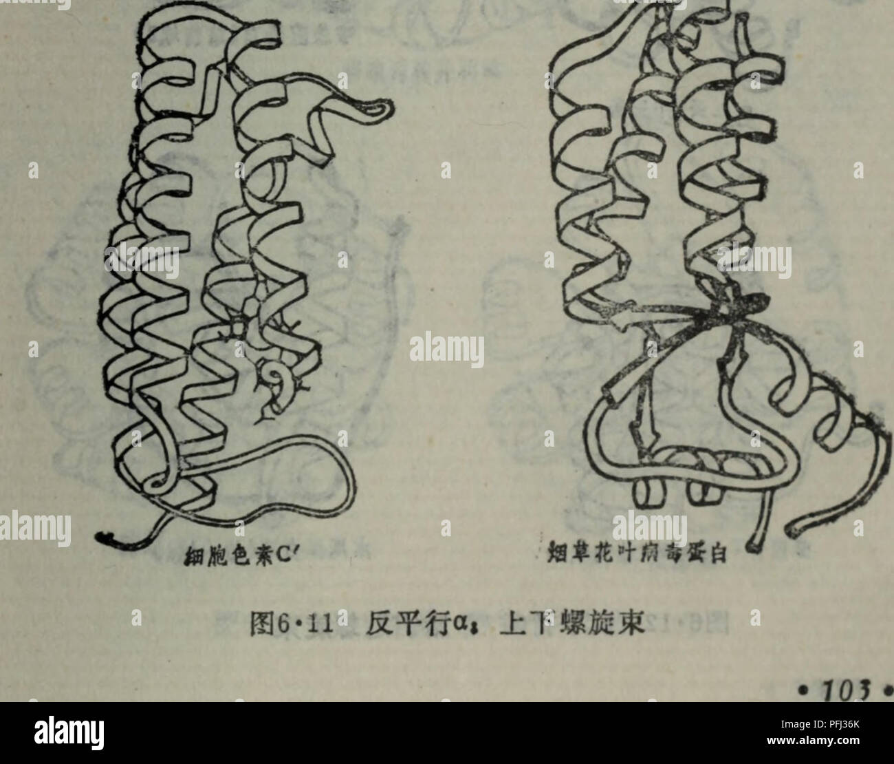 Gou shu hi-res stock photography and images - Alamy