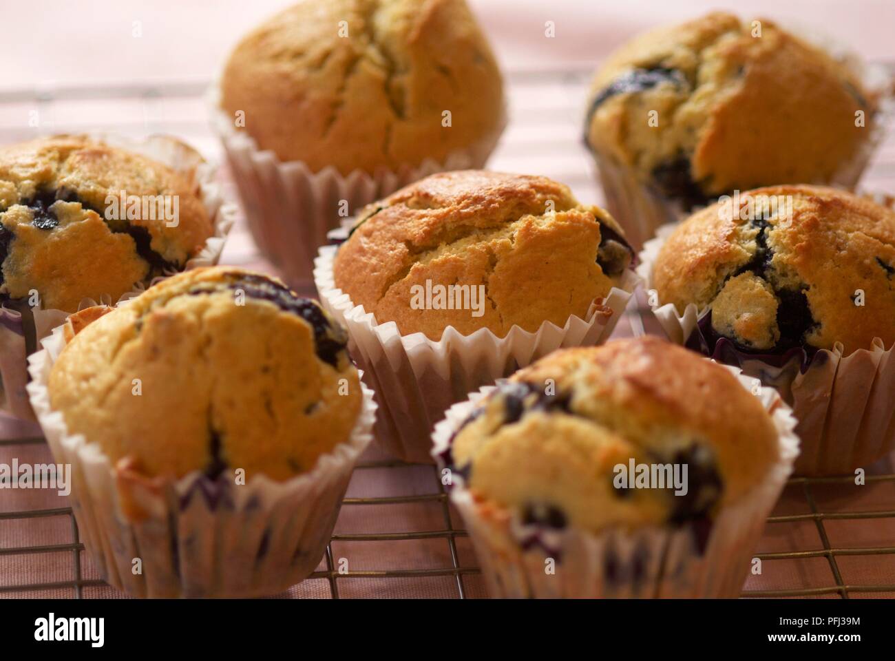 Baked blueberry muffins on cooling rack, close-up Stock Photo - Alamy