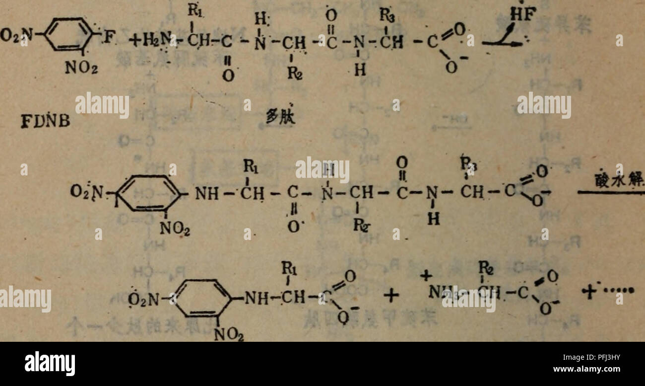 This text delves into the structures and functions of polyamides ...