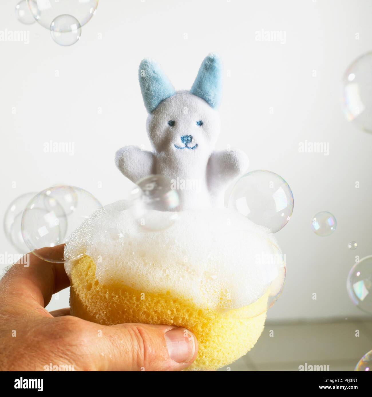 Man's hand holding sponge with rabbit finger puppet on top, surrounded ...