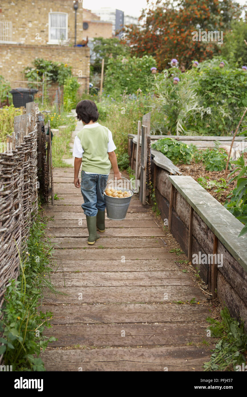 Boy walking with bucket of potatoes Stock Photo - Alamy