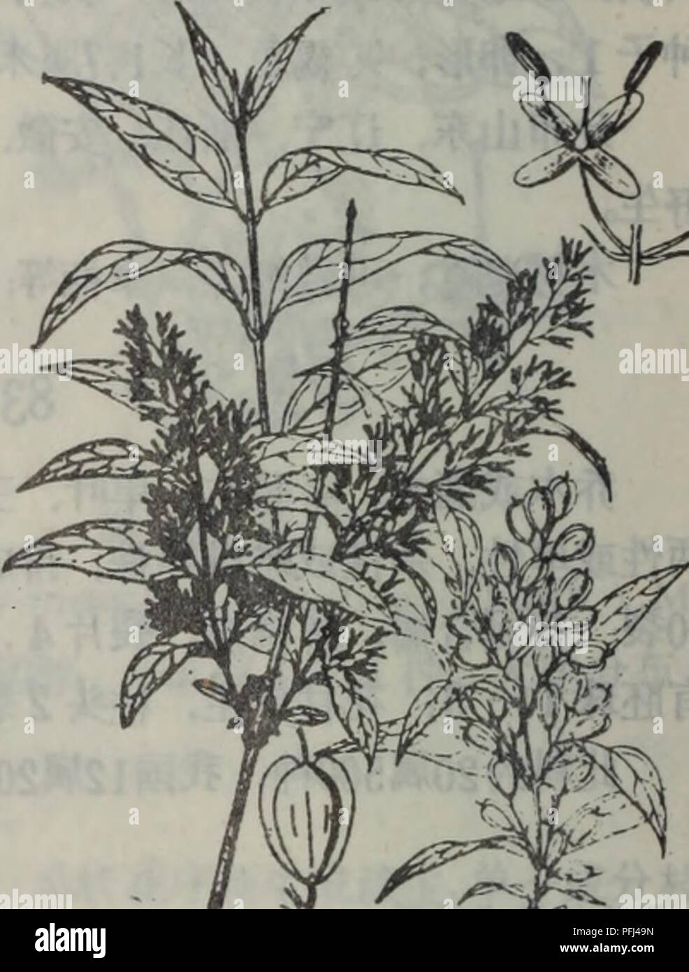 Rev 2 7 hi-res stock photography and images - Alamy