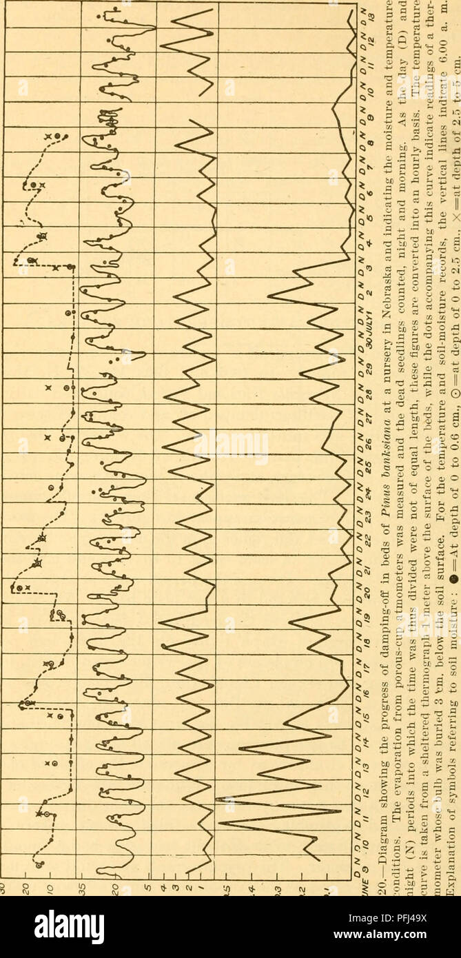 This bulletin discusses the impact of damping-off disease in forest ...