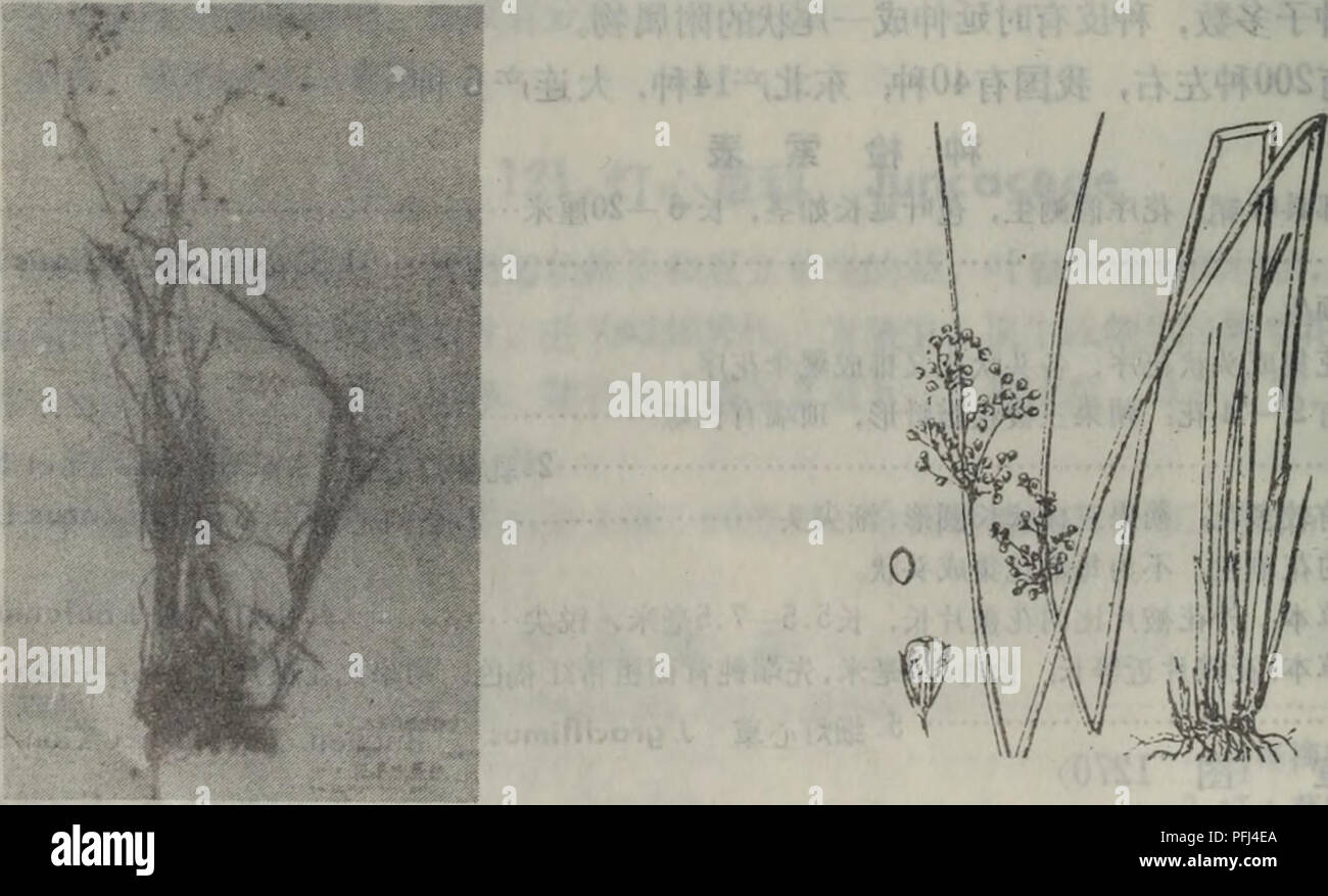 1827 1876 hi-res stock photography and images - Alamy