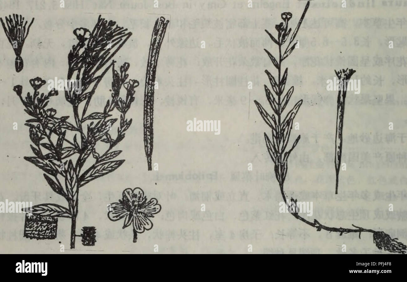 A Chinese botanical resource detailing plant species of the Dalian ...