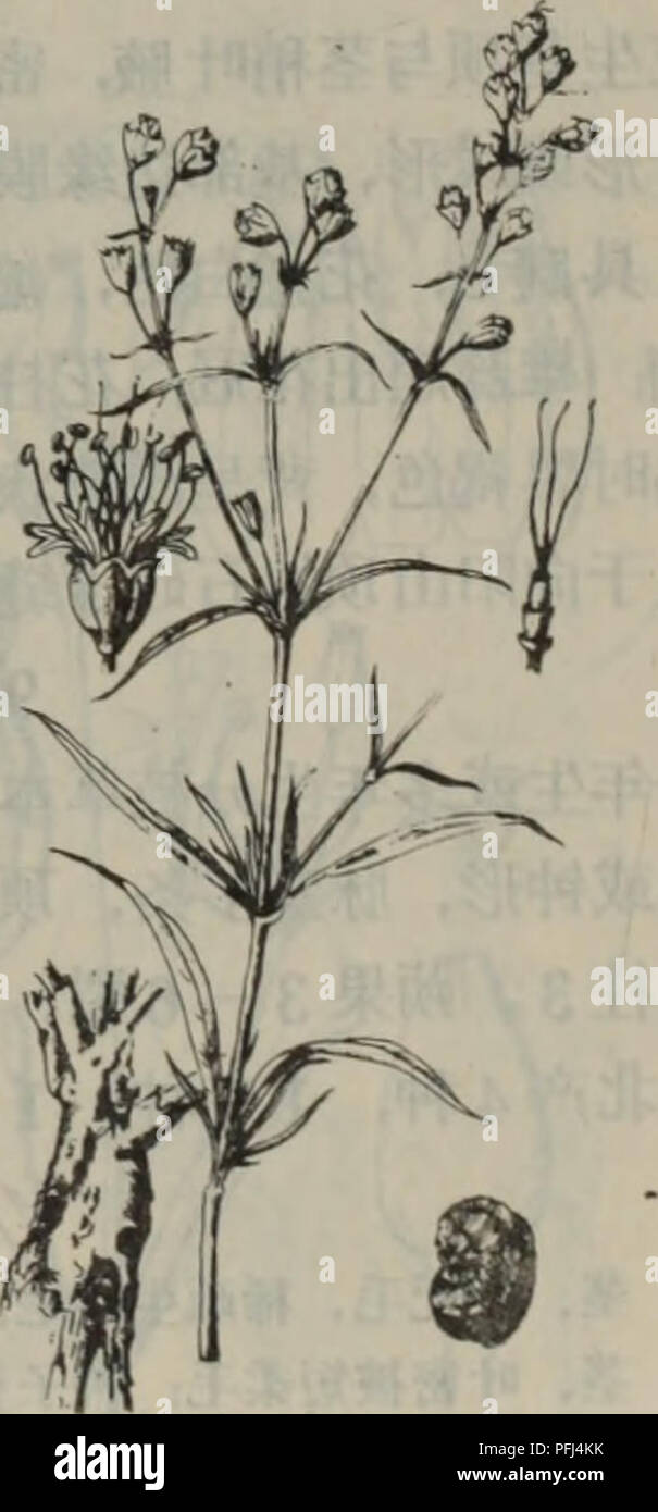 This Chinese botanical text discusses the flora of the Dalian region ...