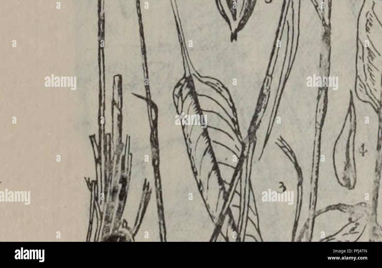 Wu ti hi-res stock photography and images - Alamy