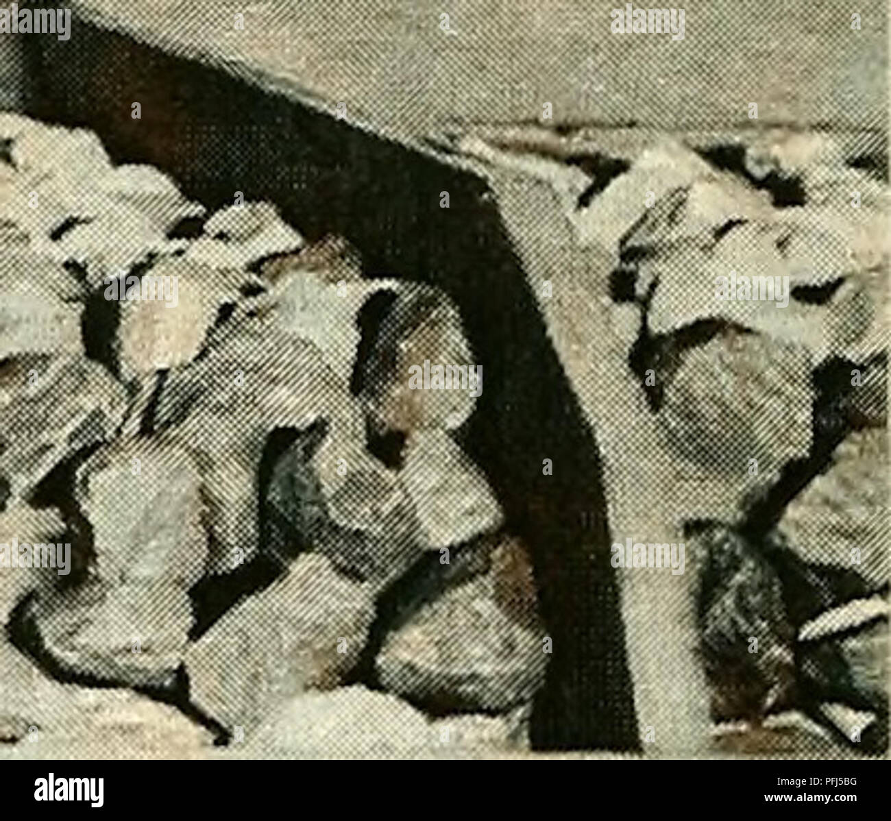 . Damage prog[r]ession on rubble-mound breakwaters. Rubble mound ...