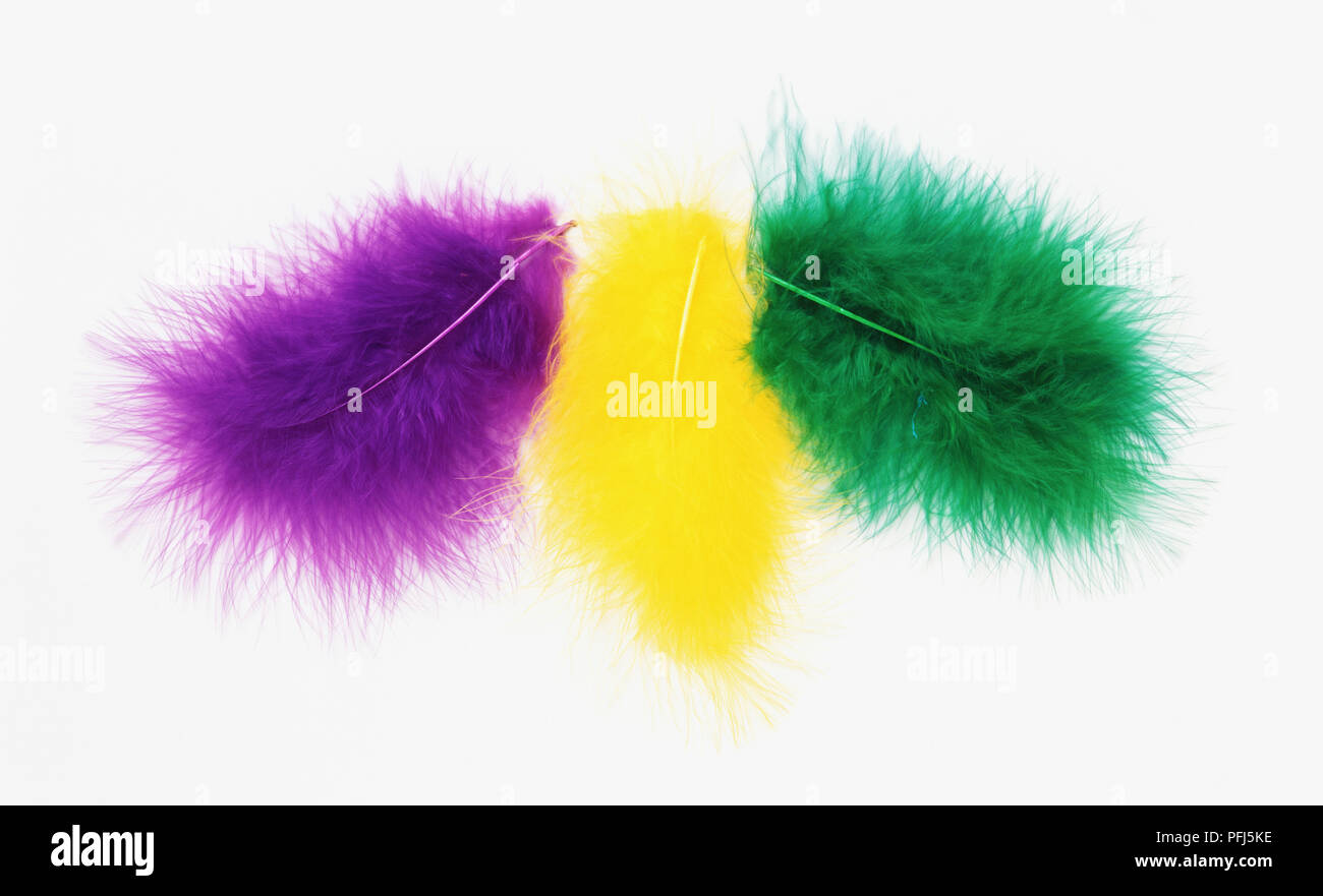 Coloured feathers hi-res stock photography and images - Alamy