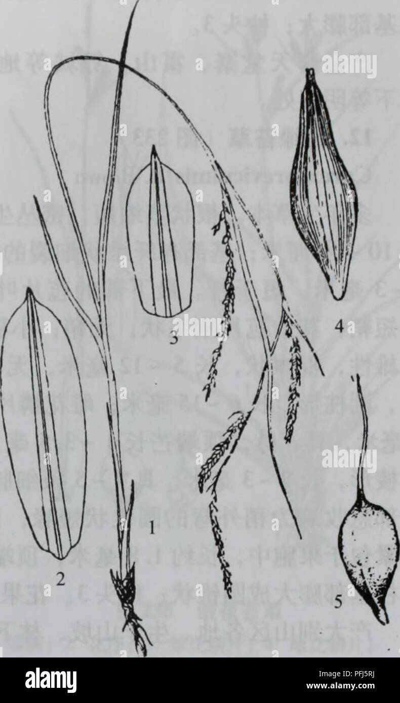 This botany text provides insights into the classification and study of ...