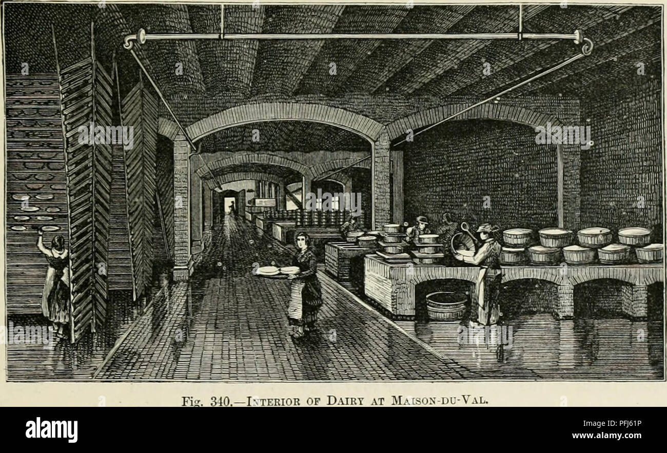 Maturation cheese french hi-res stock photography and images - Alamy