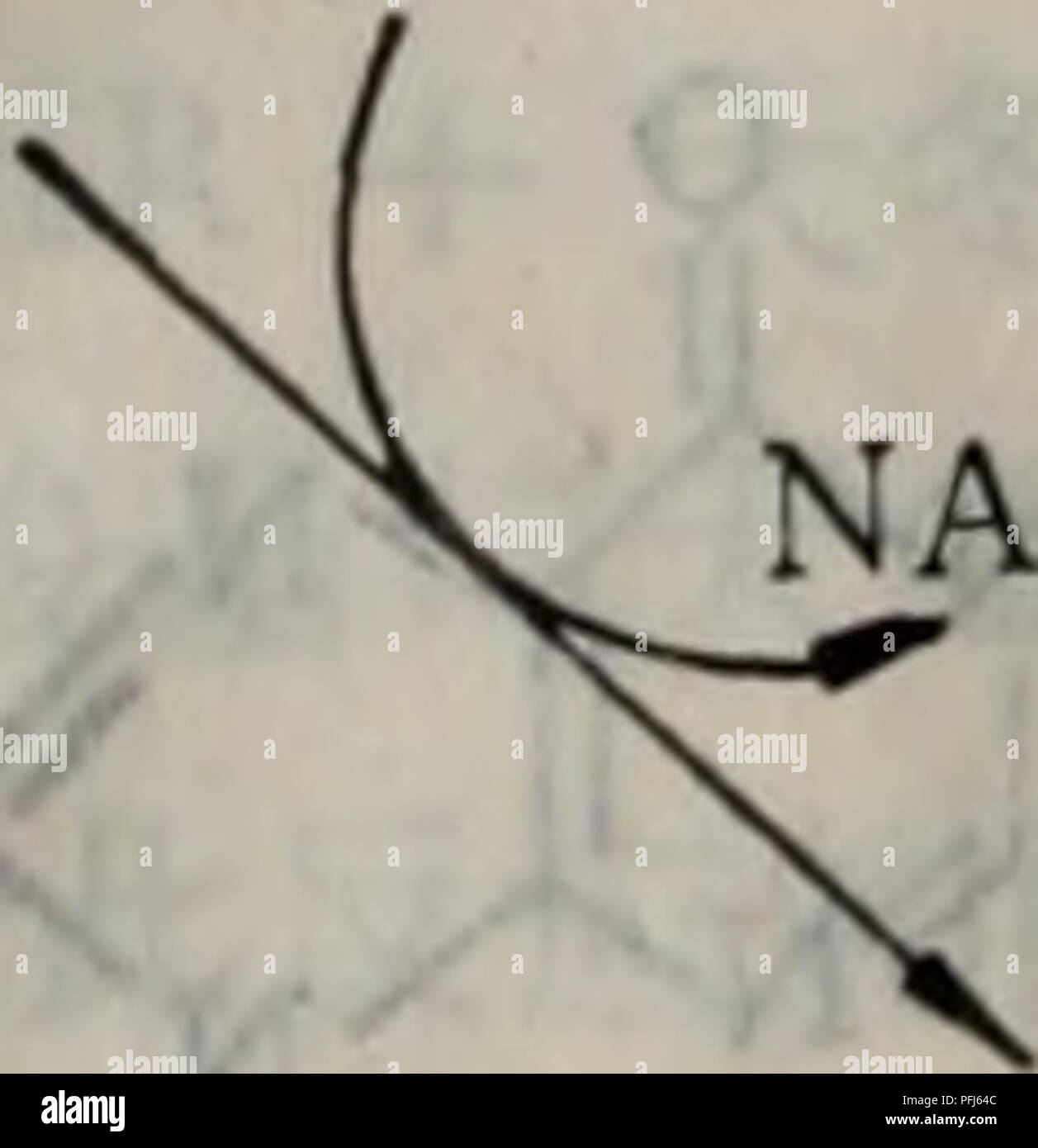 This botanical study explores the biochemical processes involved in the ...