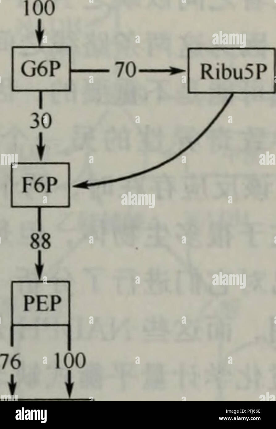 A text exploring the intersection of botany and chemical engineering ...