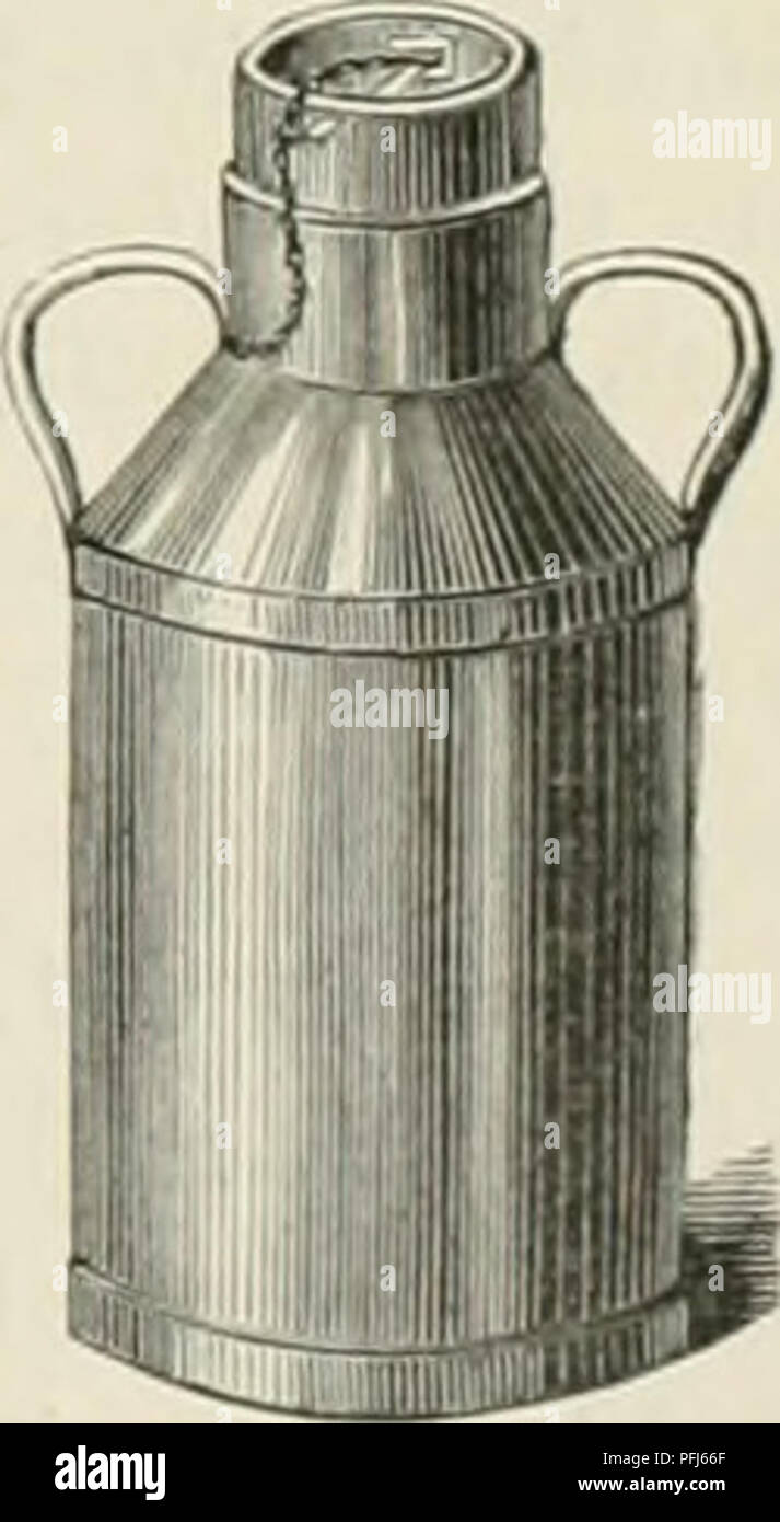 Plants in milk jugs hi-res stock photography and images - Alamy