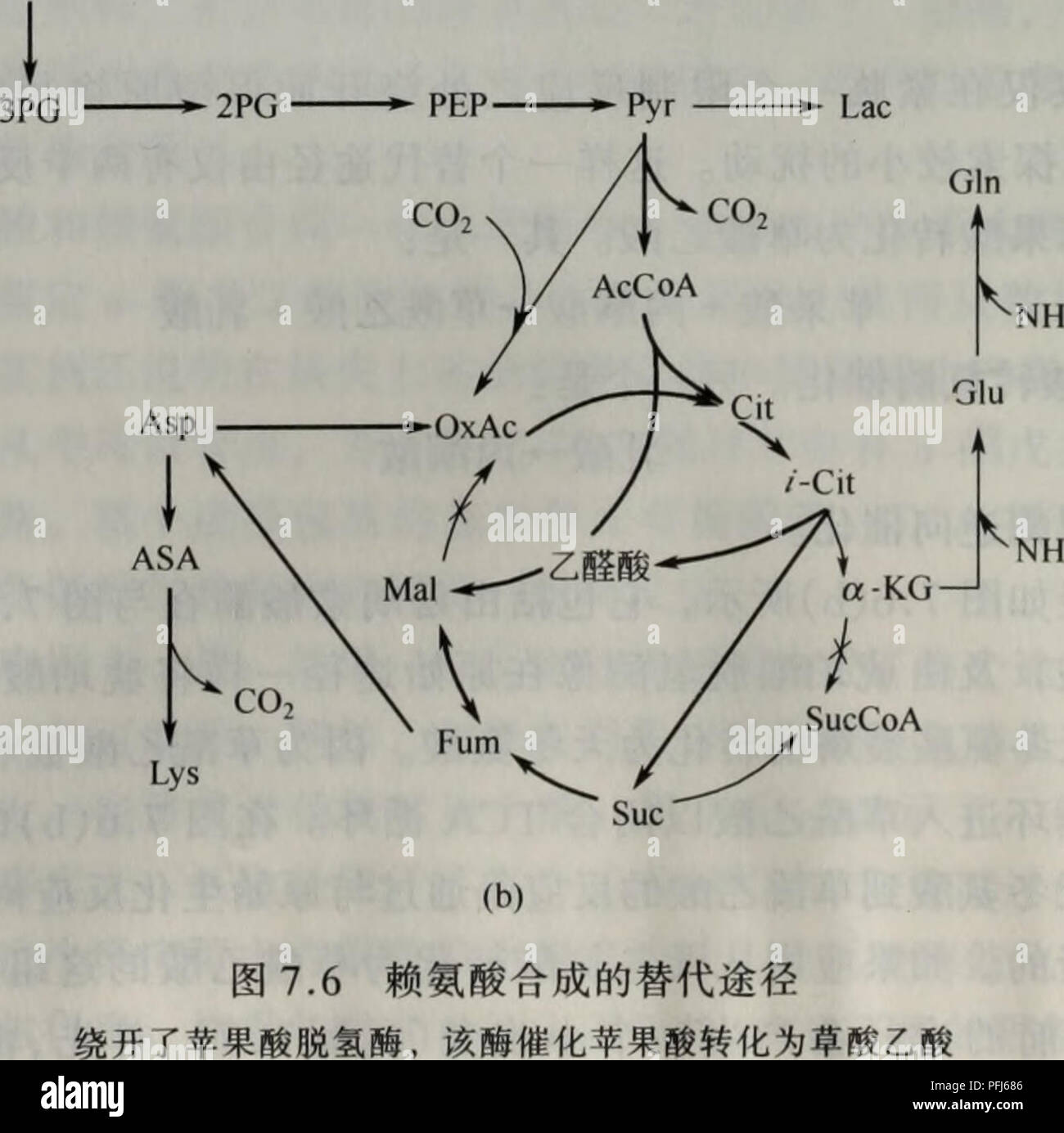 3pg hi-res stock photography and images - Alamy