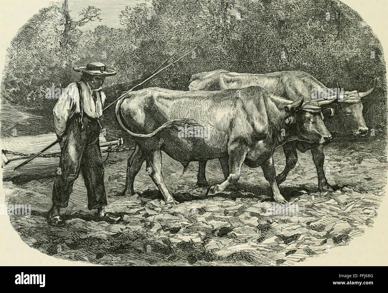 Poor farming practice hi-res stock photography and images - Alamy