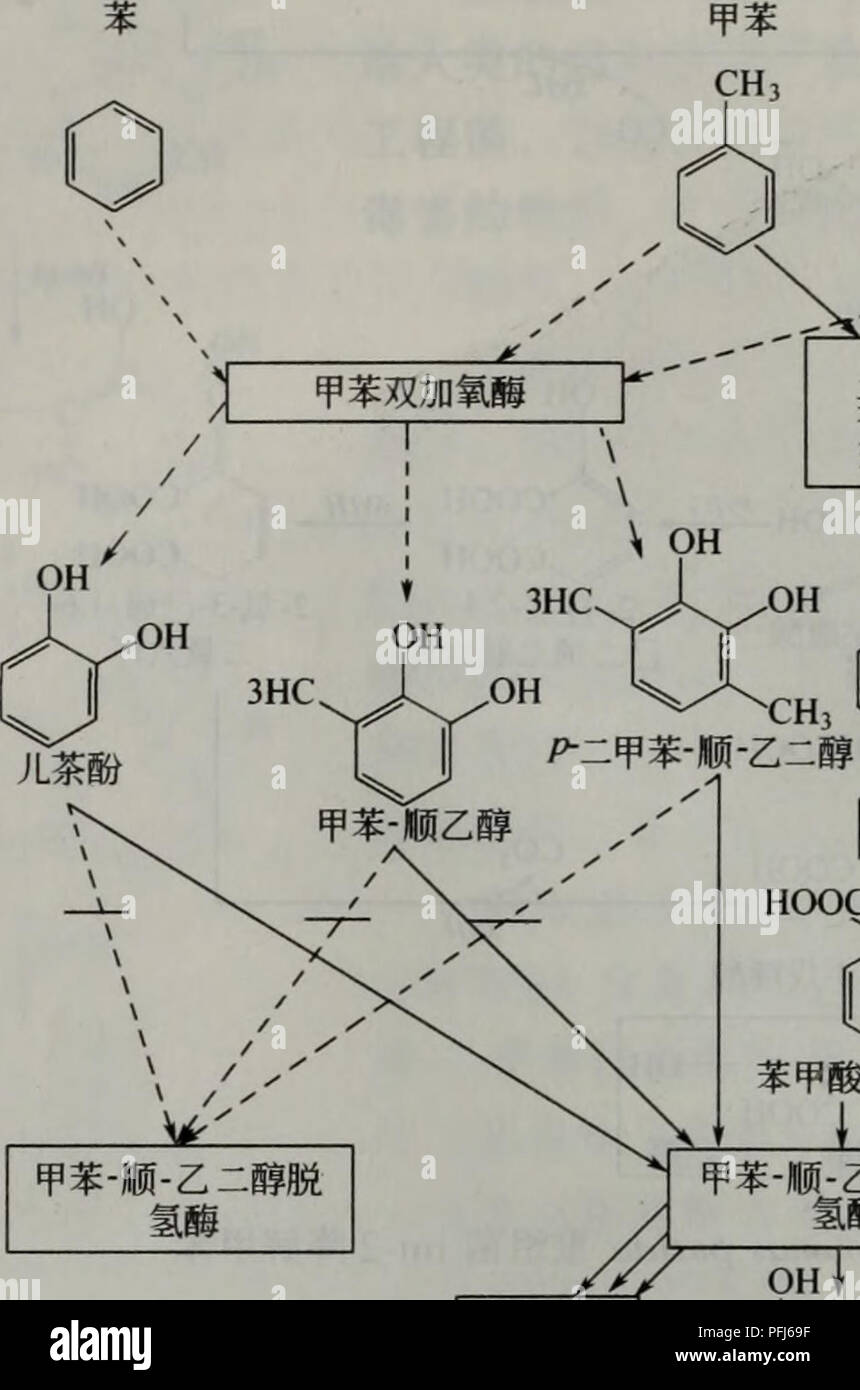 This image, written in Chinese, appears to detail botanical studies on ...