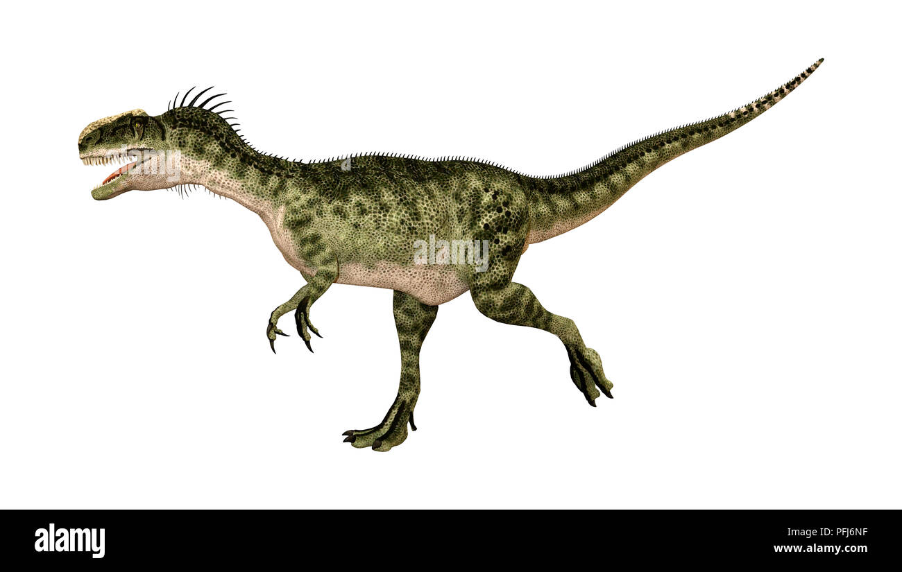 3D rendering of a dinosaur Monolophosaurus isolated on white background ...