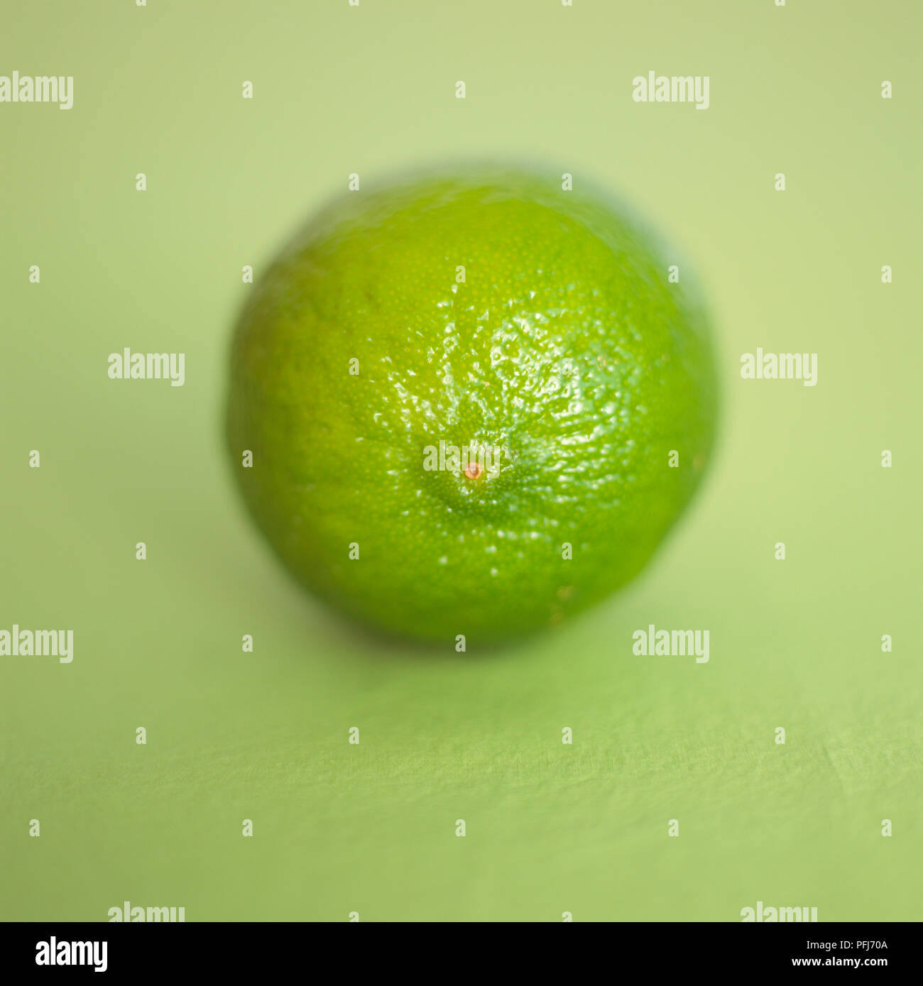 Citrus citrus sp hi-res stock photography and images - Alamy