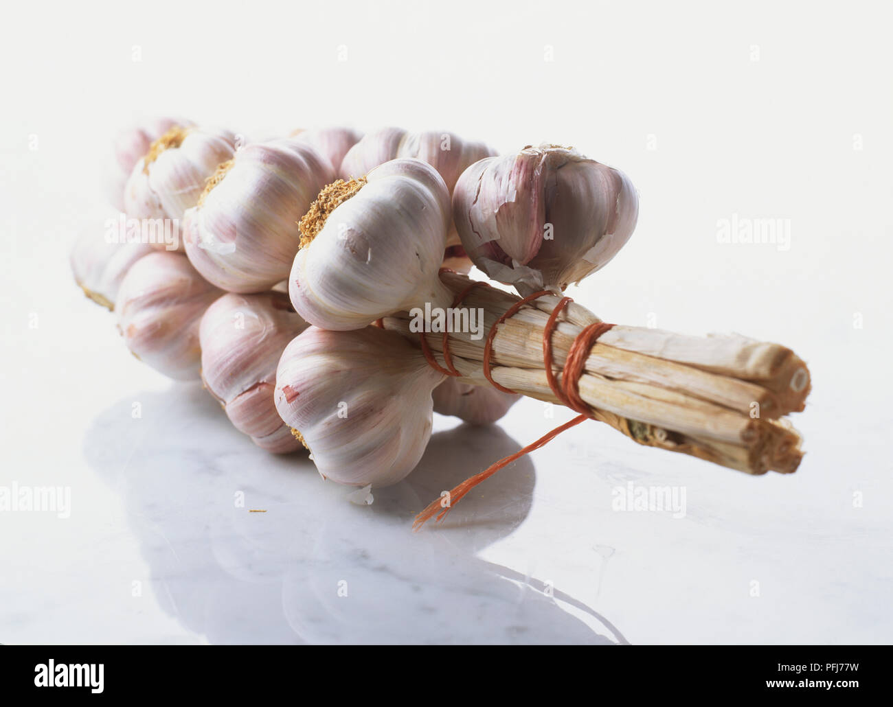 Allium sativum, Garlic, bunch of garlic bulbs, stalks tied together ...