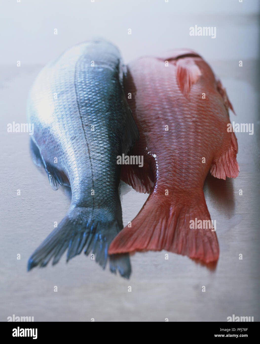 Whole raw red and silver fish on kitchen surface, rear view Stock Photo ...