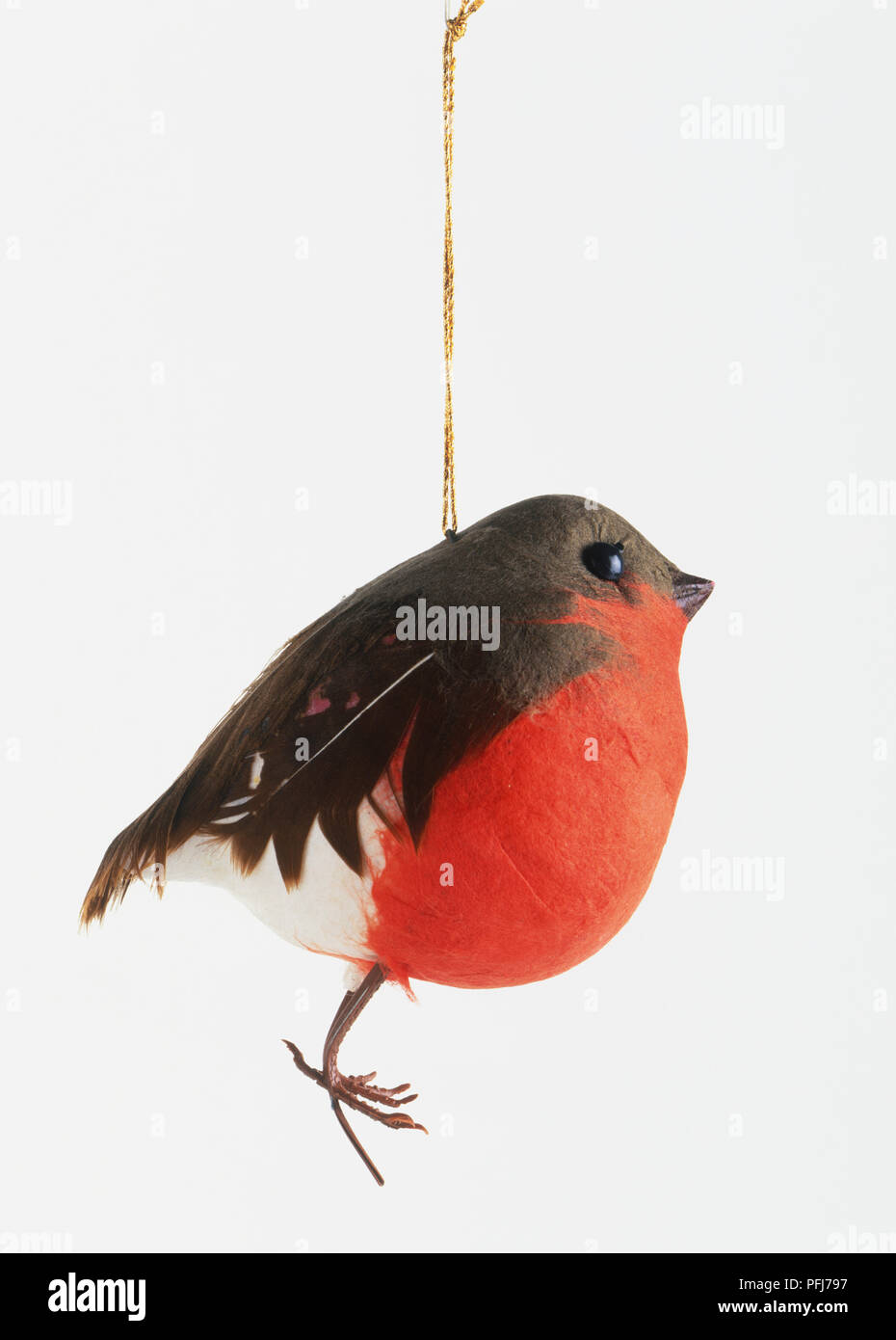 Robin colour hi-res stock photography and images - Alamy