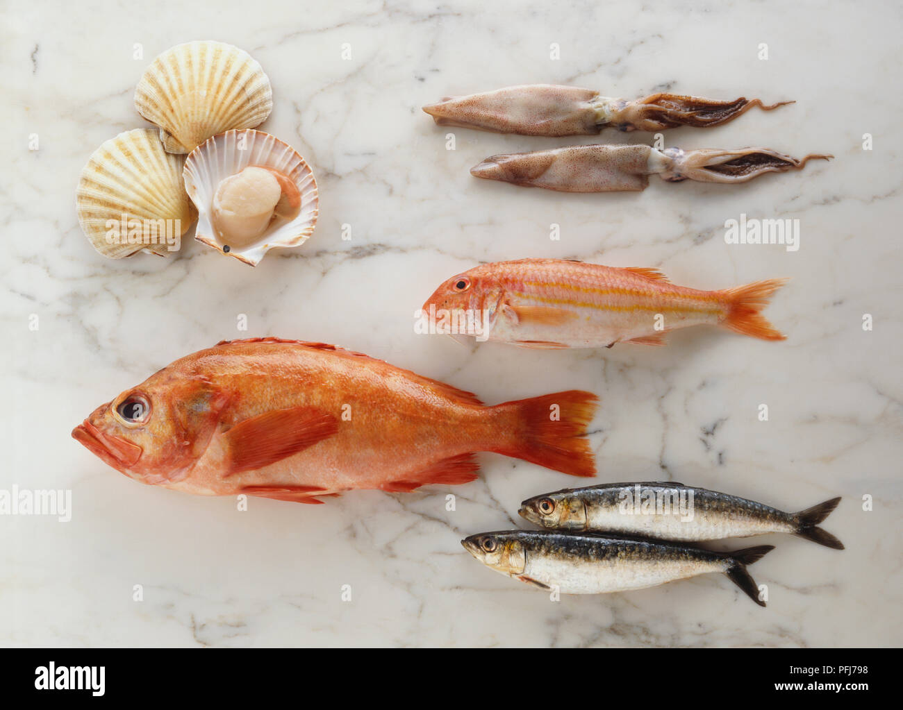 Variety of fish and shell fish on marble Stock Photo - Alamy