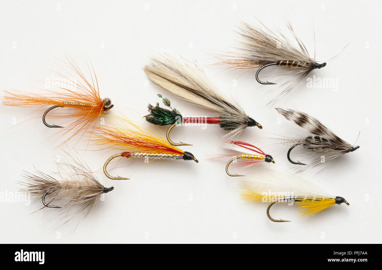 Assorted flies hi-res stock photography and images - Alamy