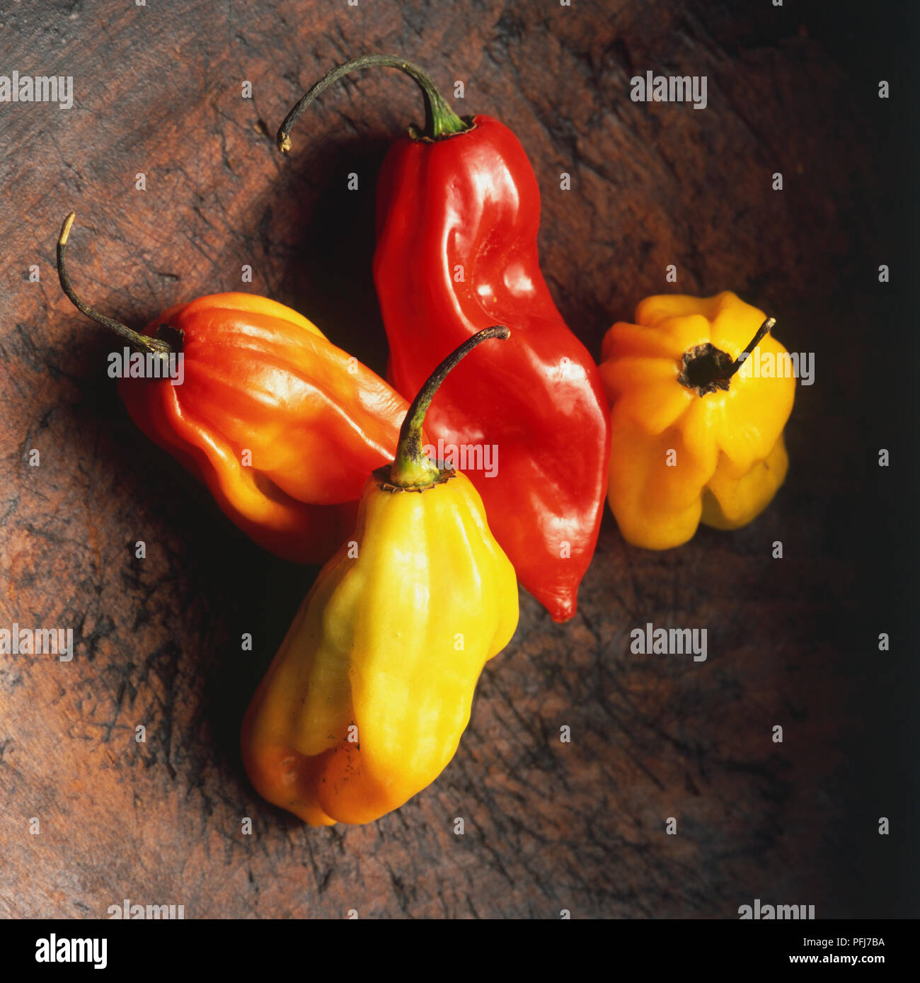 Orange colour chillies hi-res stock photography and images - Alamy