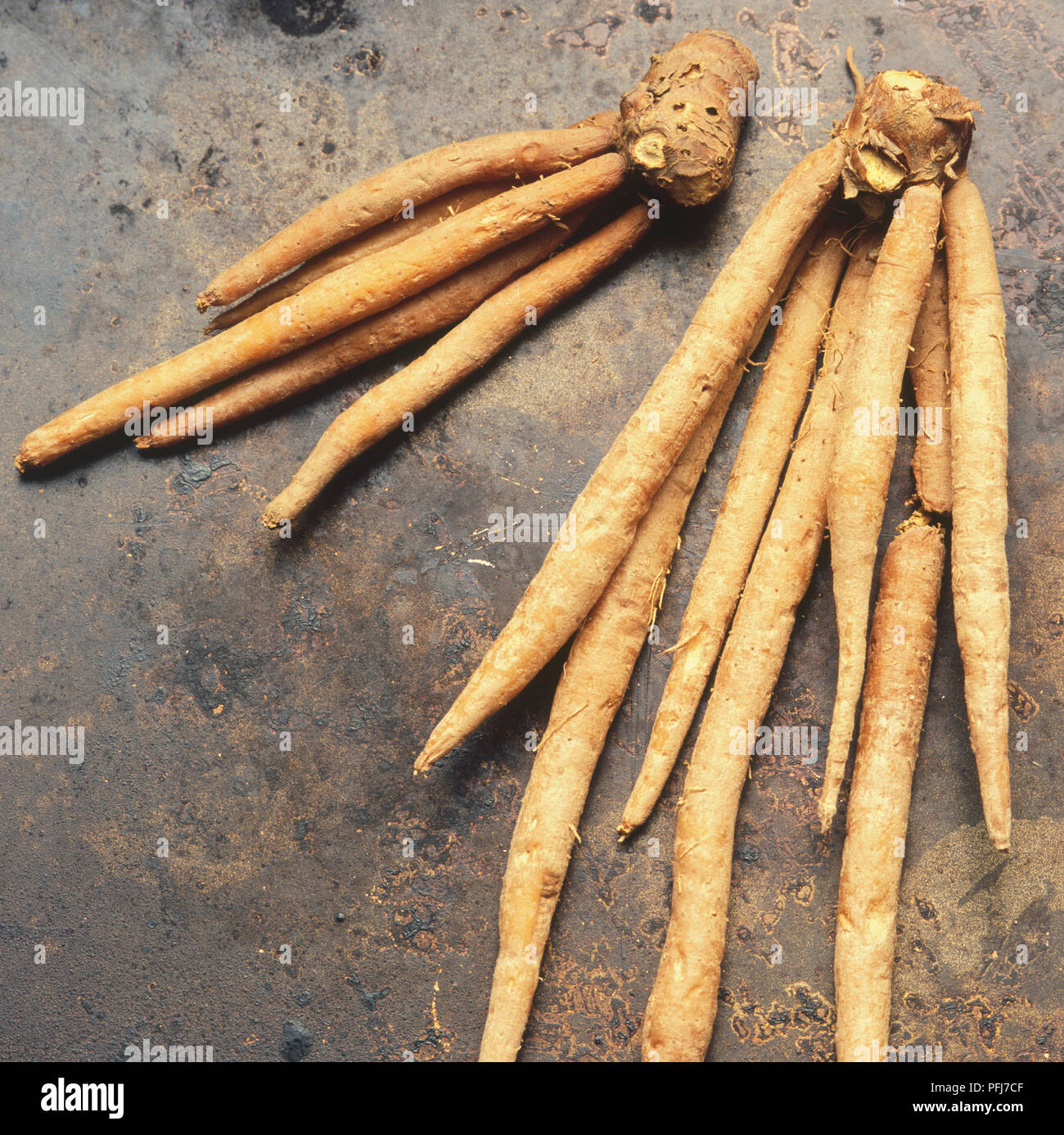 Fresh roots of Thai wild ginger (Grachai Stock Photo - Alamy