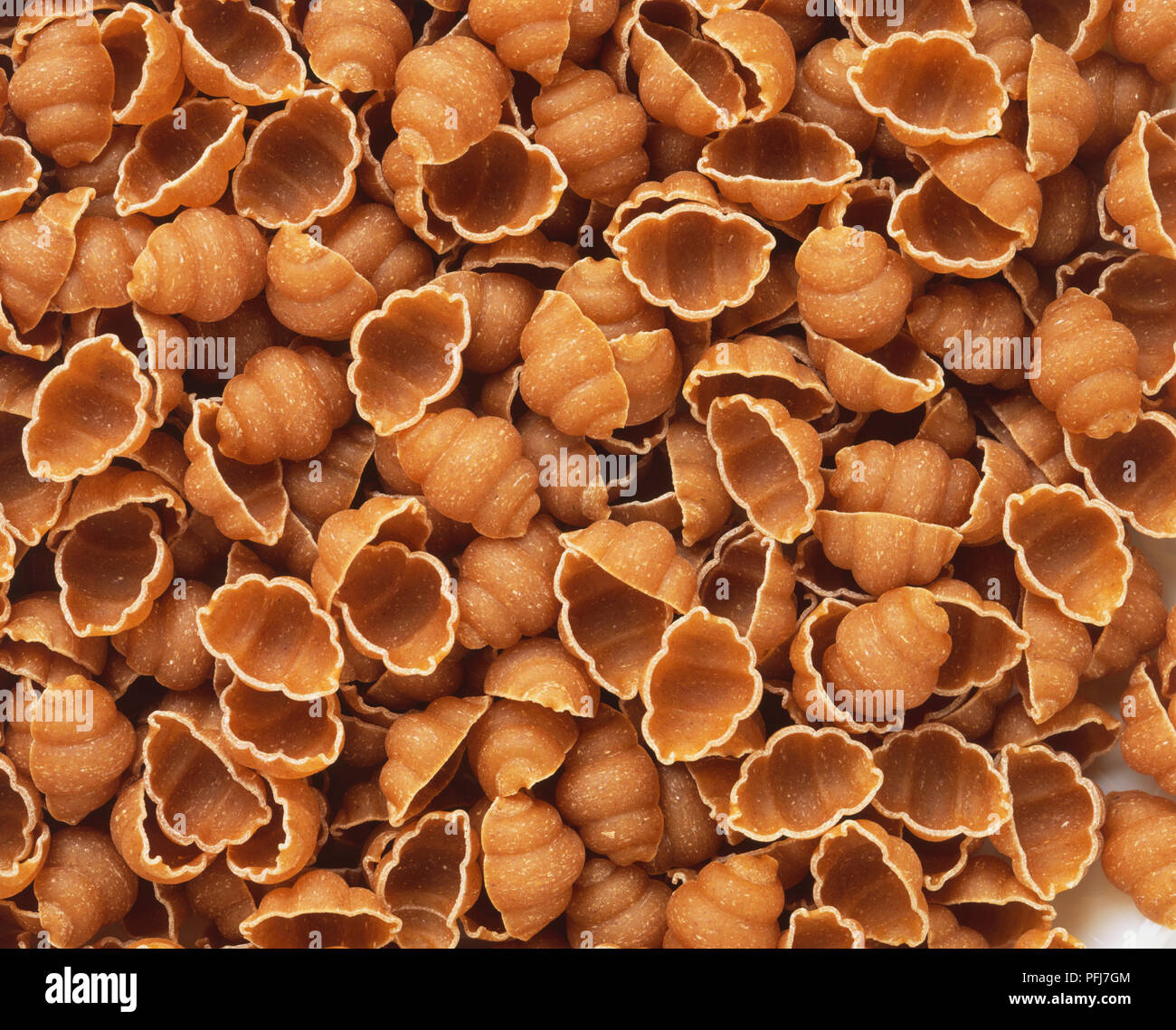 Wholemeal pasta shells, close up Stock Photo - Alamy