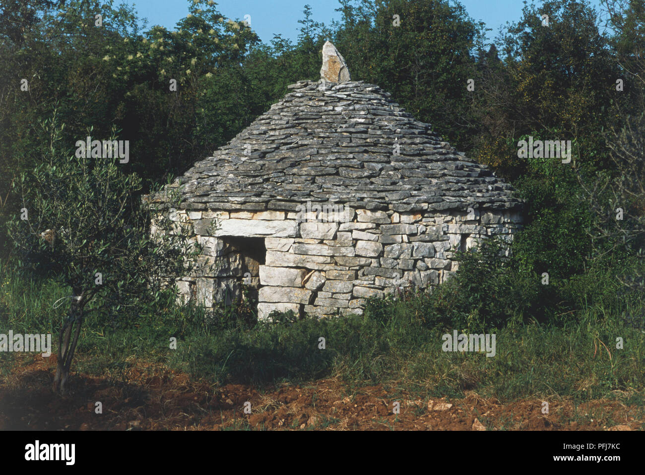 Round stone house with conical roof, set within and partly overgrown by ...
