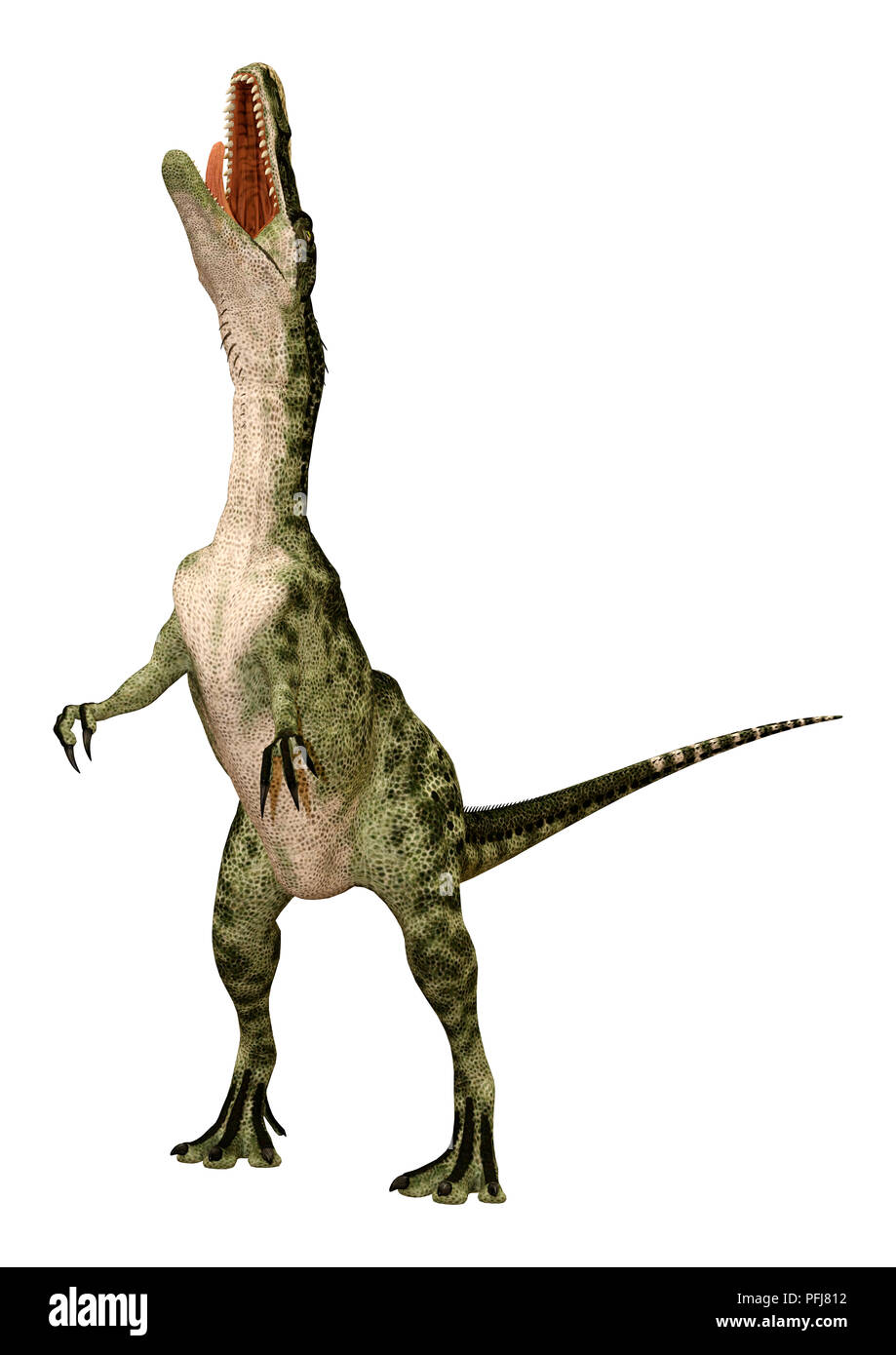 3D rendering of a dinosaur Monolophosaurus isolated on white background ...