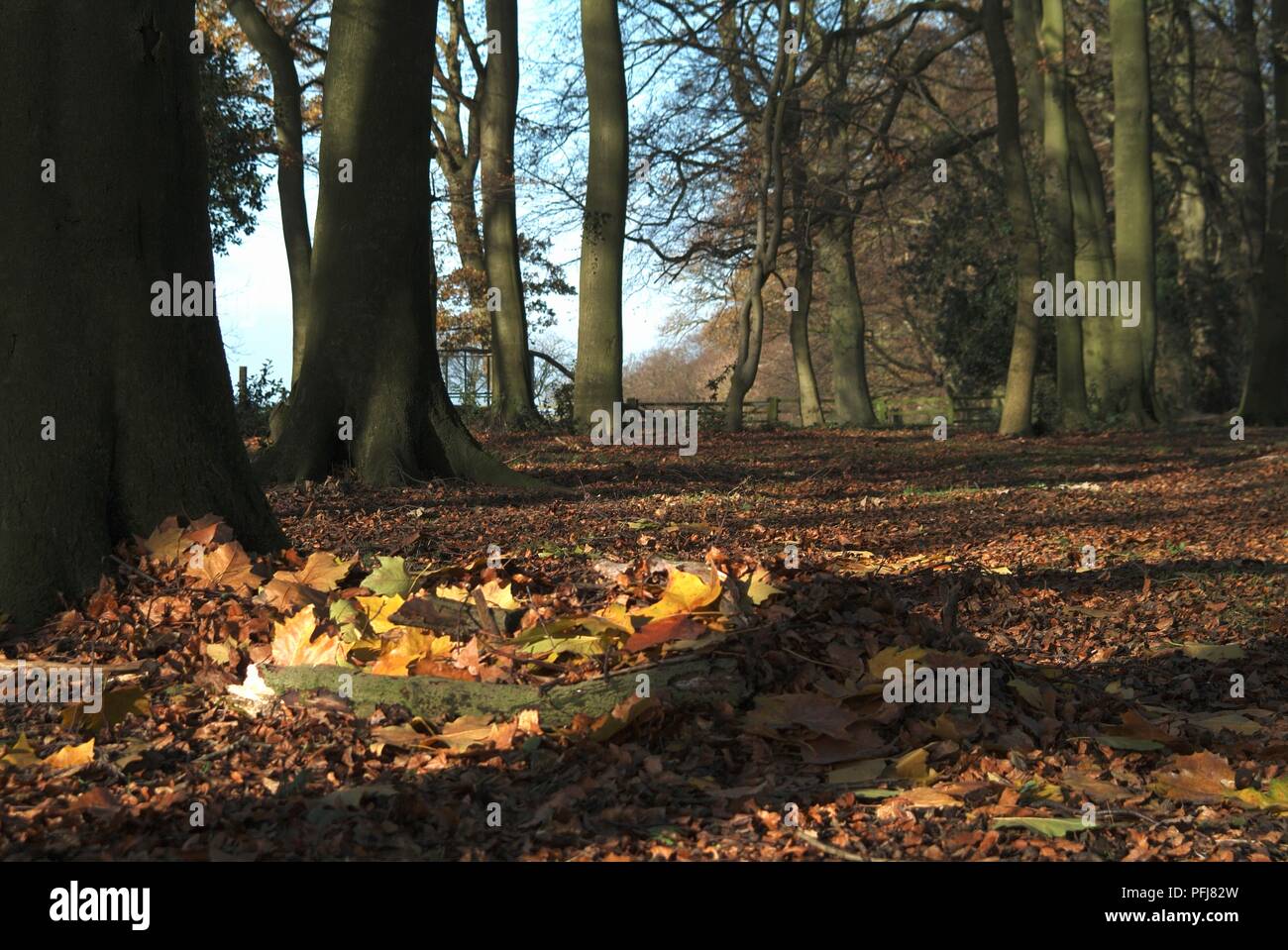 Clearing the floor hi-res stock photography and images - Alamy