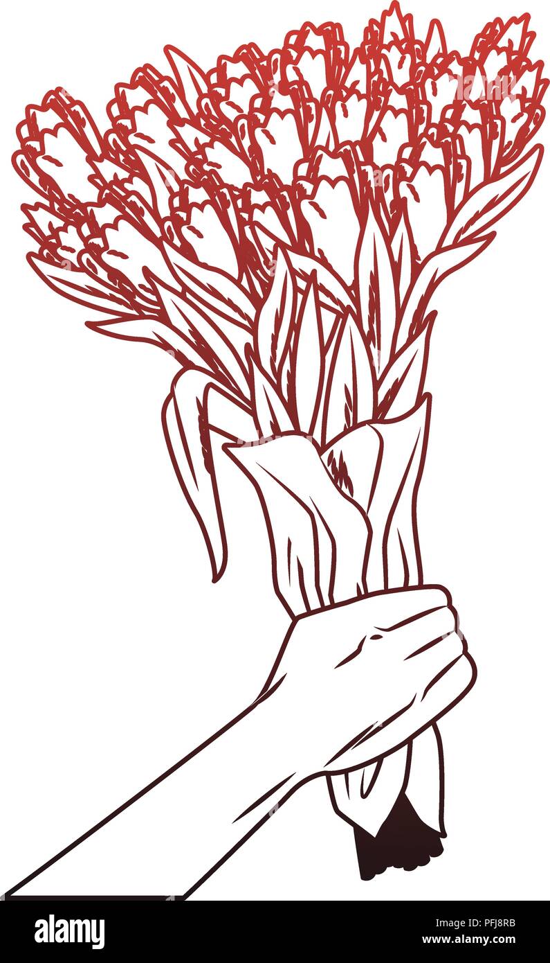 Hand Holding Flowers Bouquet Pop Art Red Lines Stock Vector Image And Art