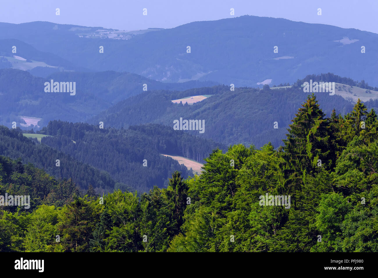 Landscape in Black Forest near Furtwangen, Germany Stock Photo - Alamy