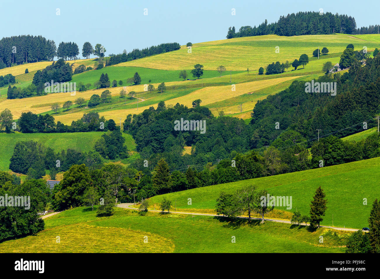 Landscape in Black Forest near Furtwangen, Germany Stock Photo - Alamy