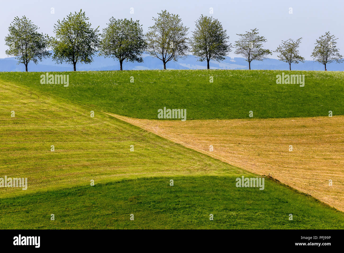 Black Forest Landscape near Furtwangen, Germany Stock Photo - Alamy