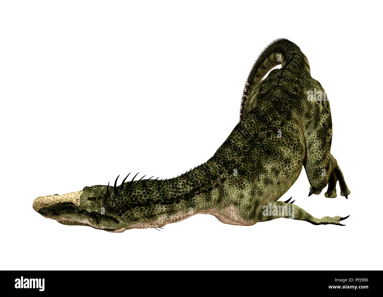 3D rendering of a dinosaur Monolophosaurus isolated on white background ...