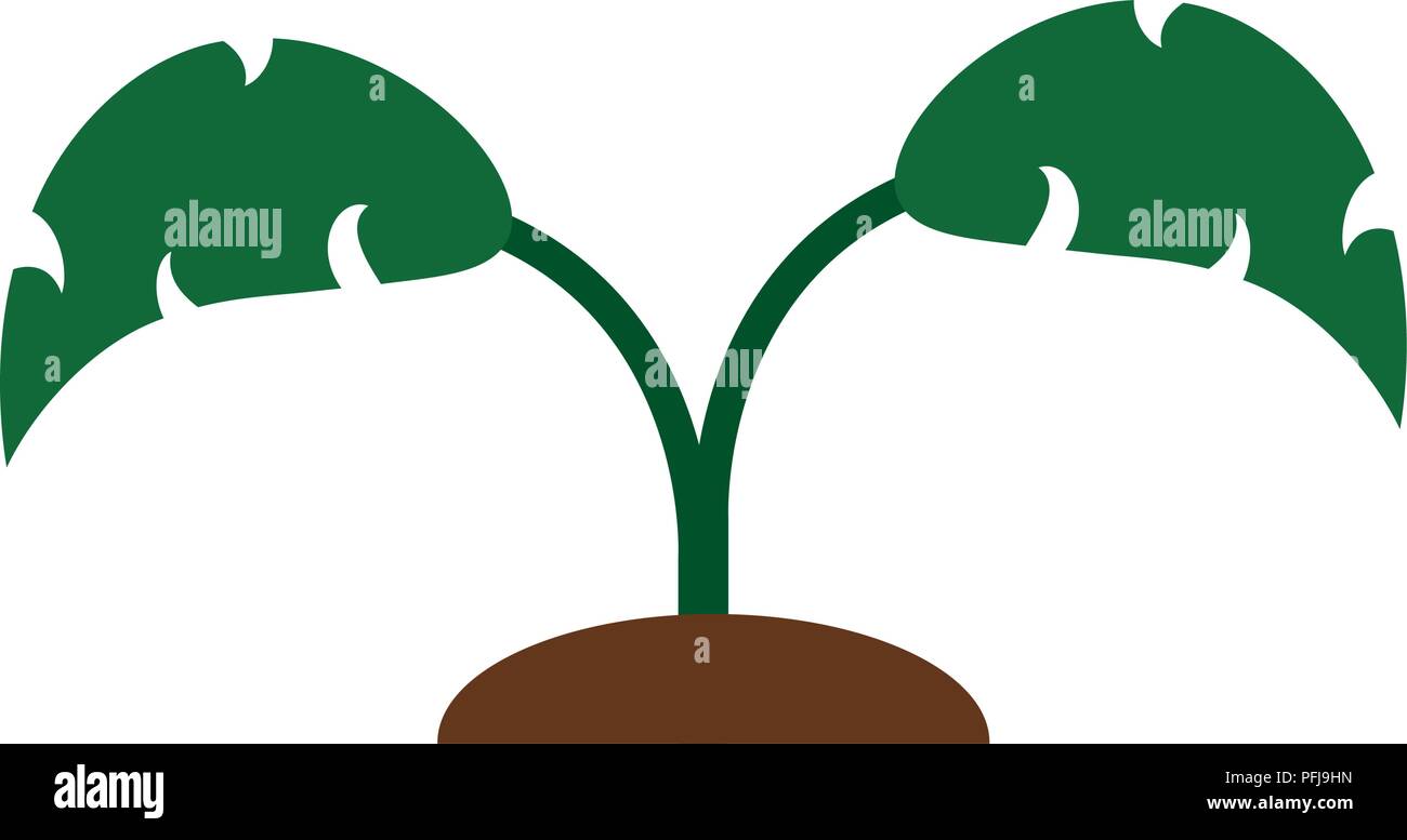 Plant nature symbol Stock Vector Image & Art - Alamy