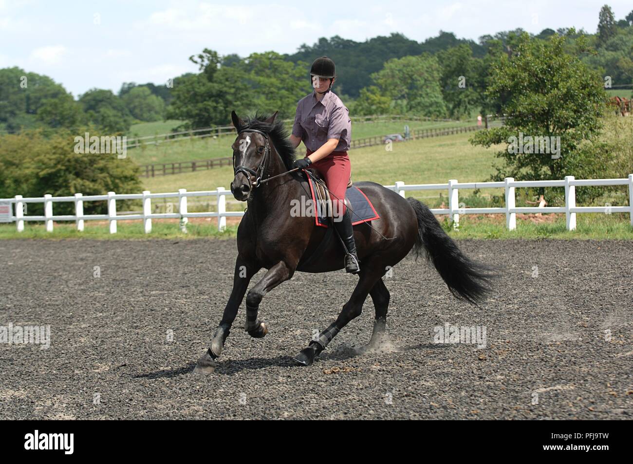 Galloping hi-res stock photography and images - Alamy