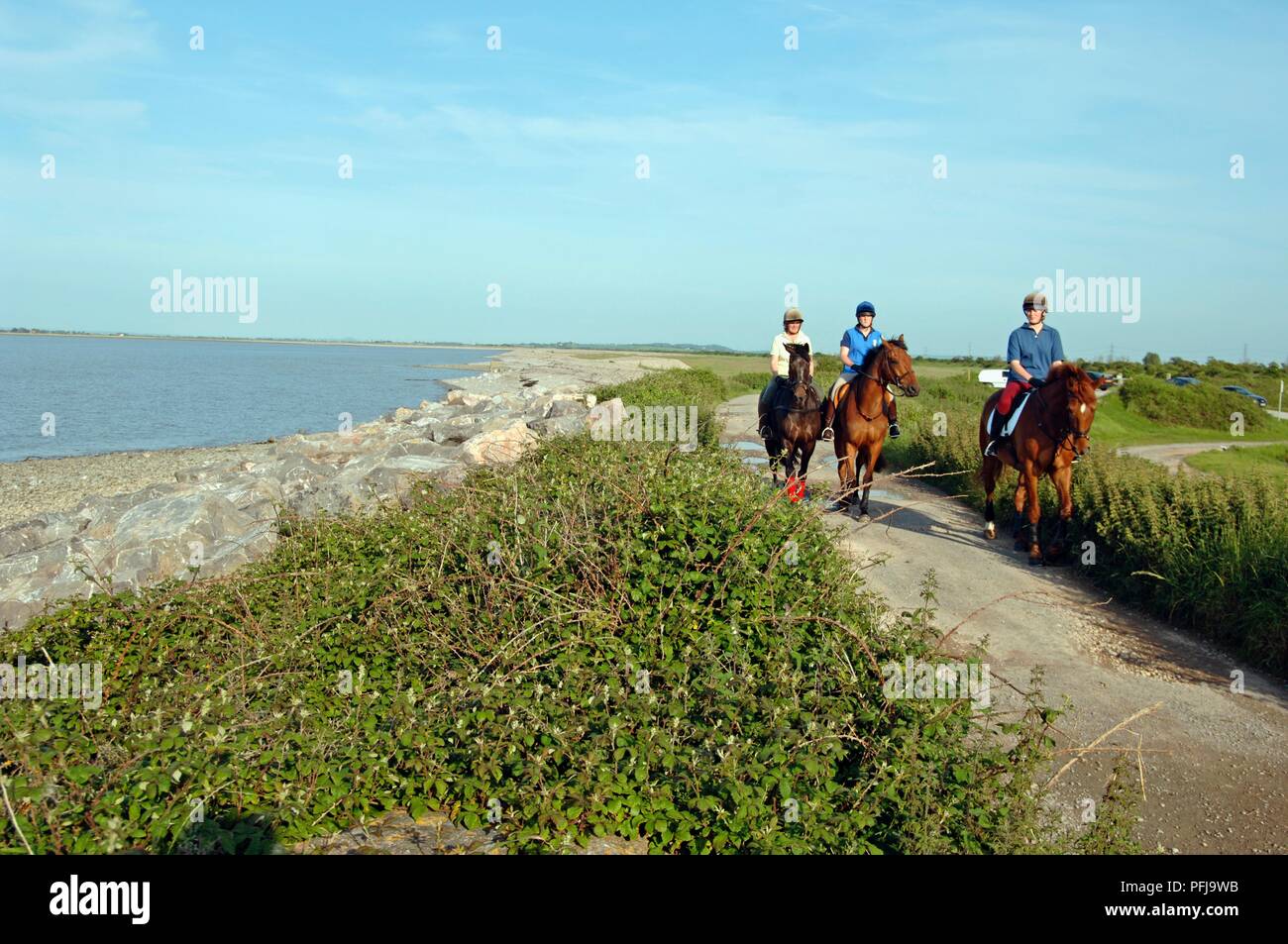 Three women riding horses on seafront path Stock Photo - Alamy