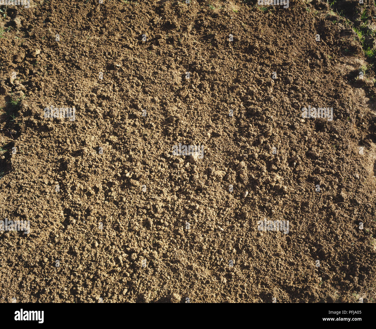 Porous brown surface Stock Photo - Alamy