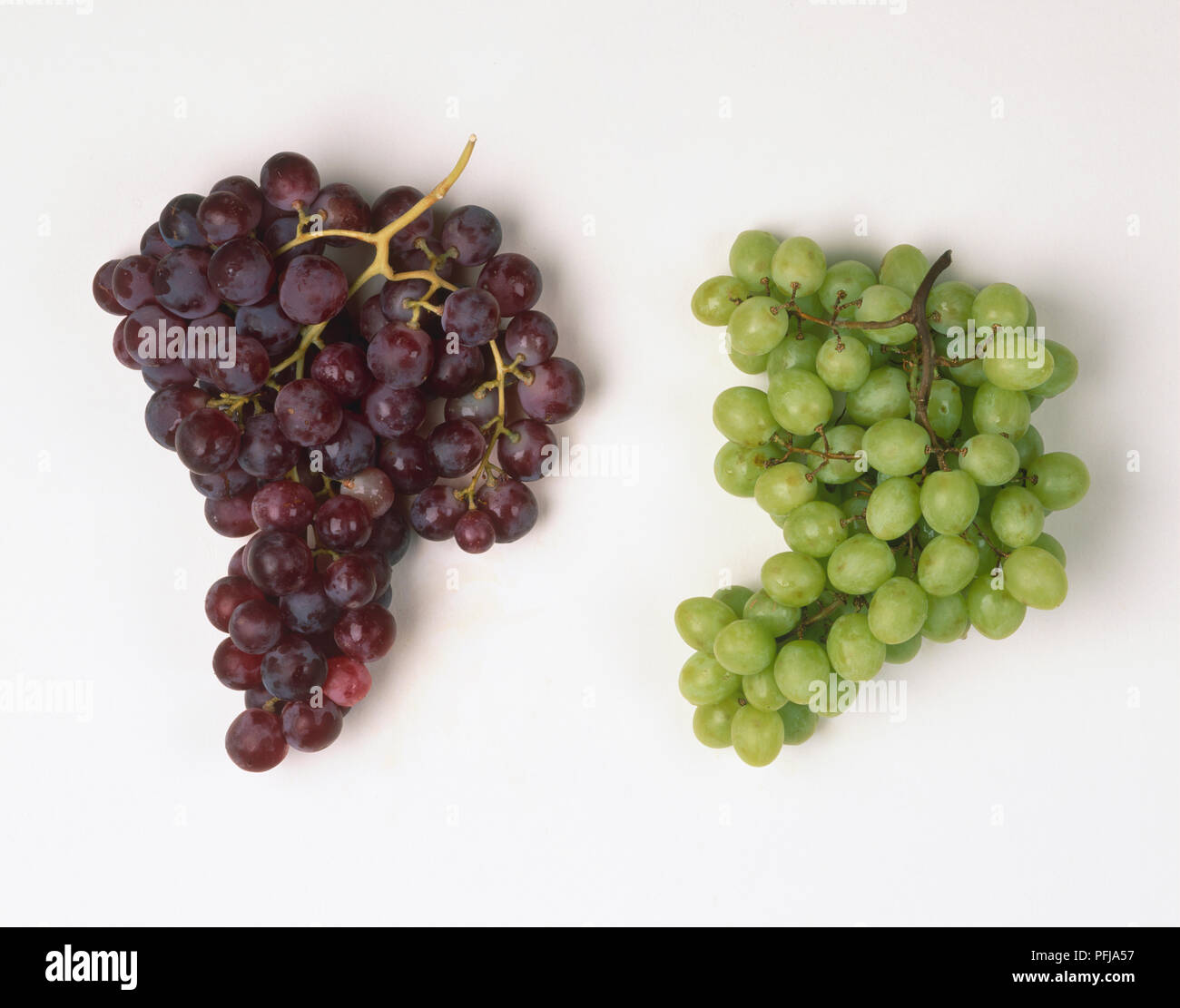 Two bunches of grapes, purple and green Stock Photo - Alamy