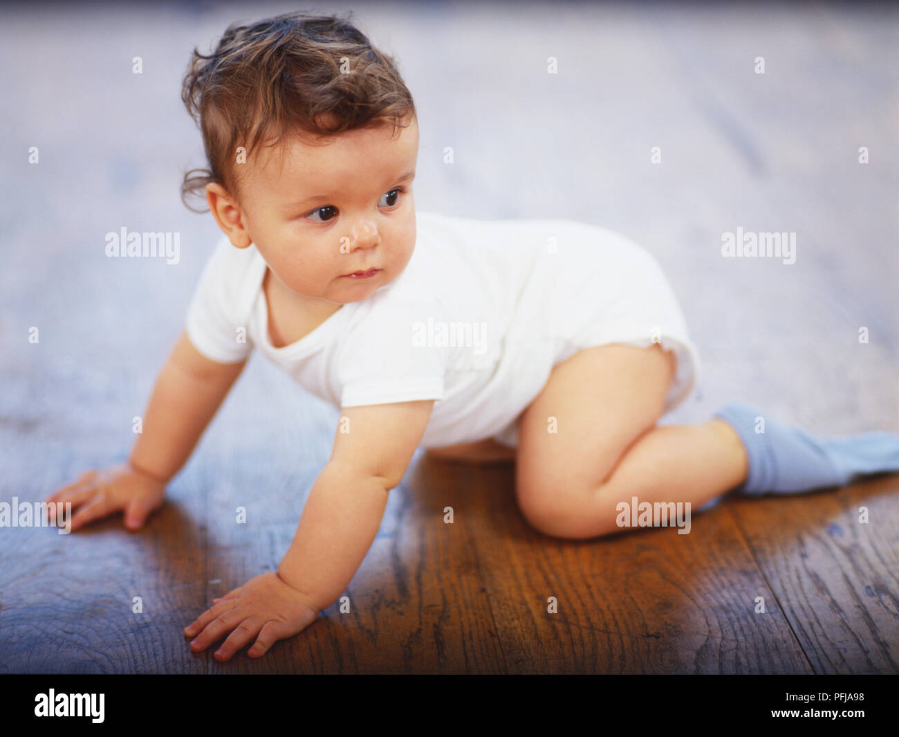 Girl toddler in white shirt, nappy and blue socks, on all fours ...