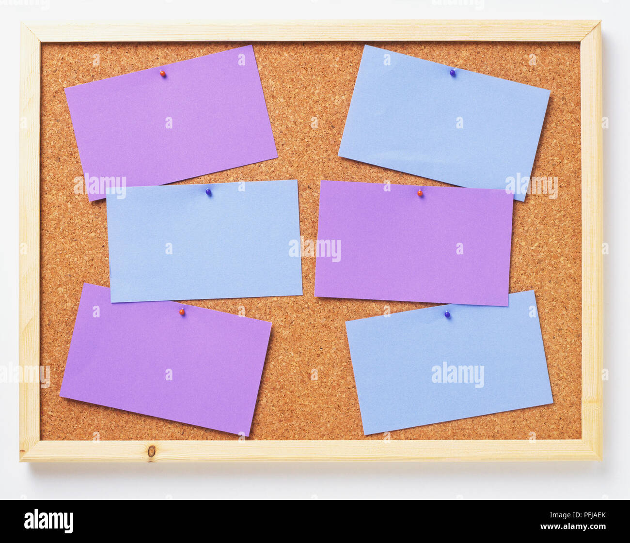Blue and purple blank pieces of paper pinned to notice board Stock ...