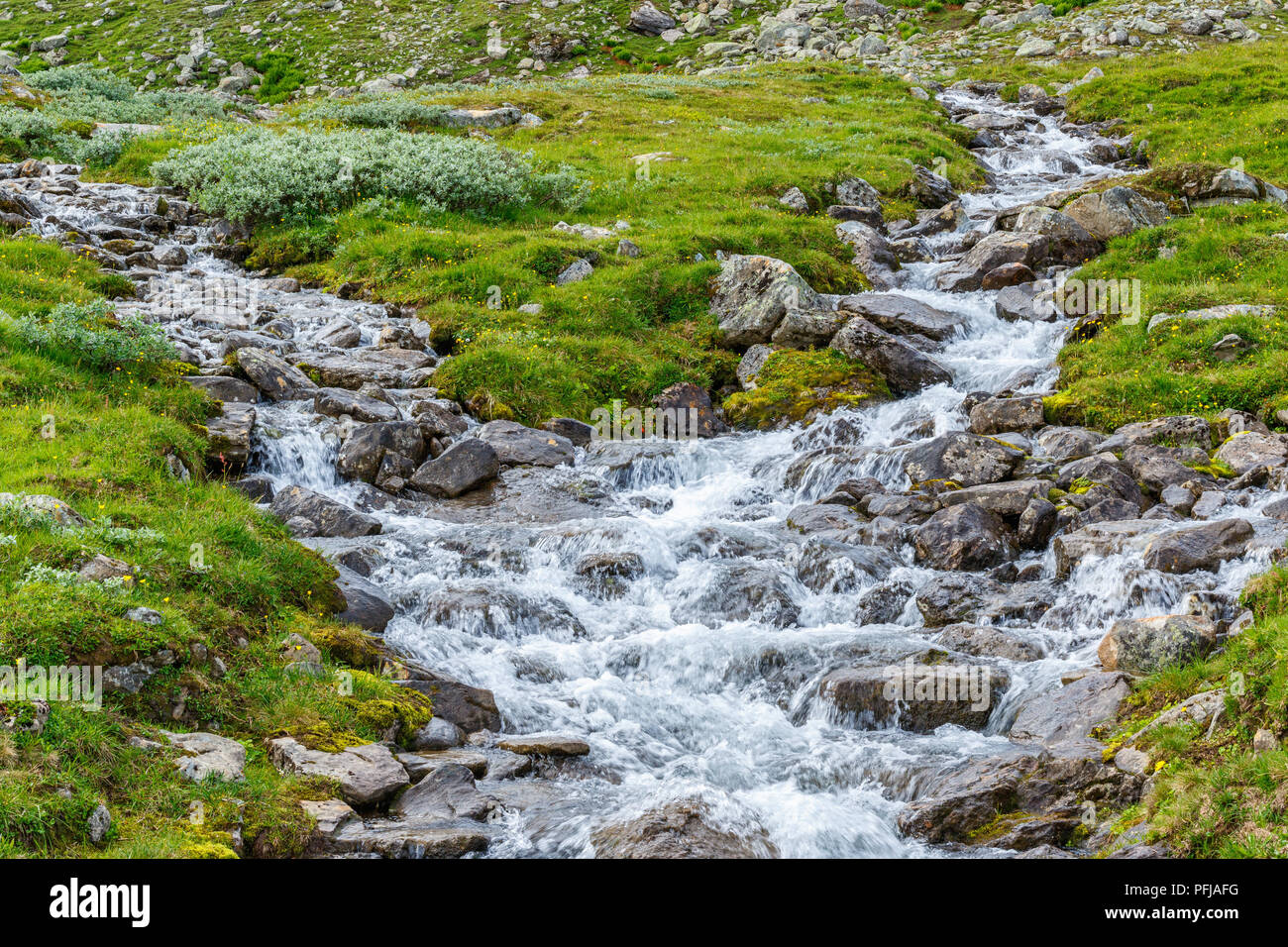 Highland willow hi-res stock photography and images - Alamy