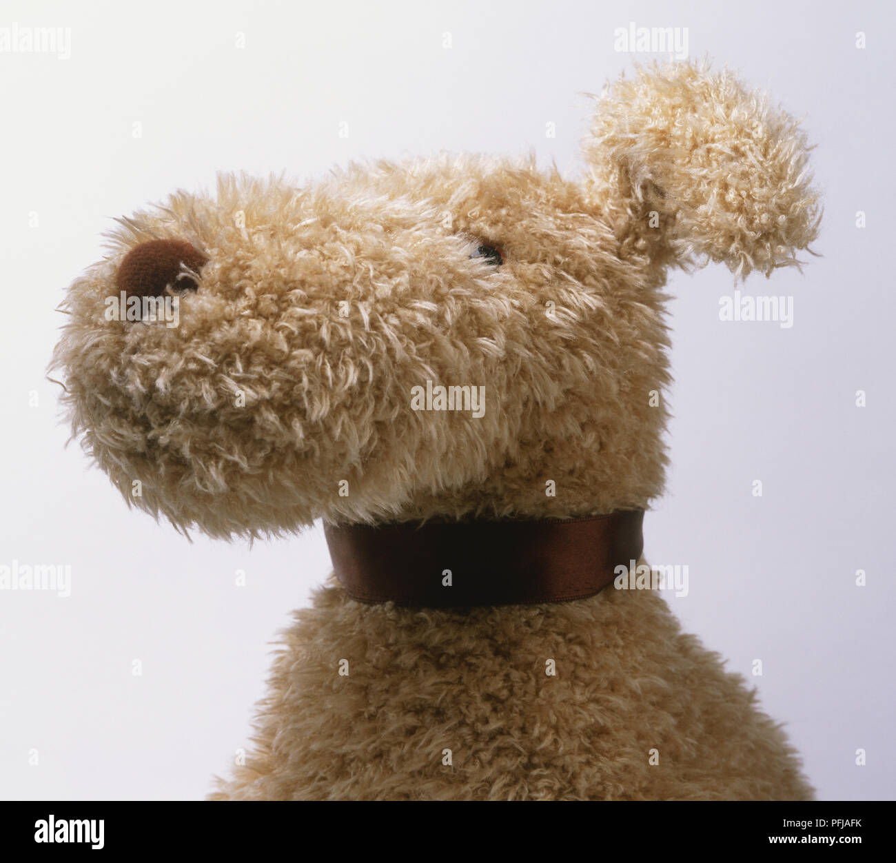 Headshot of brown soft toy dog Stock Photo - Alamy